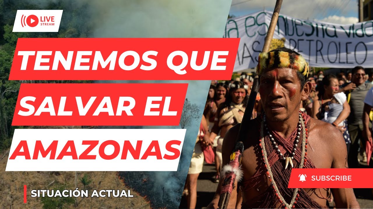 🌍🔥¿ADIÓS AL AMAZONAS? Claves para entender qué está pasando🌍🔥 - YouTube