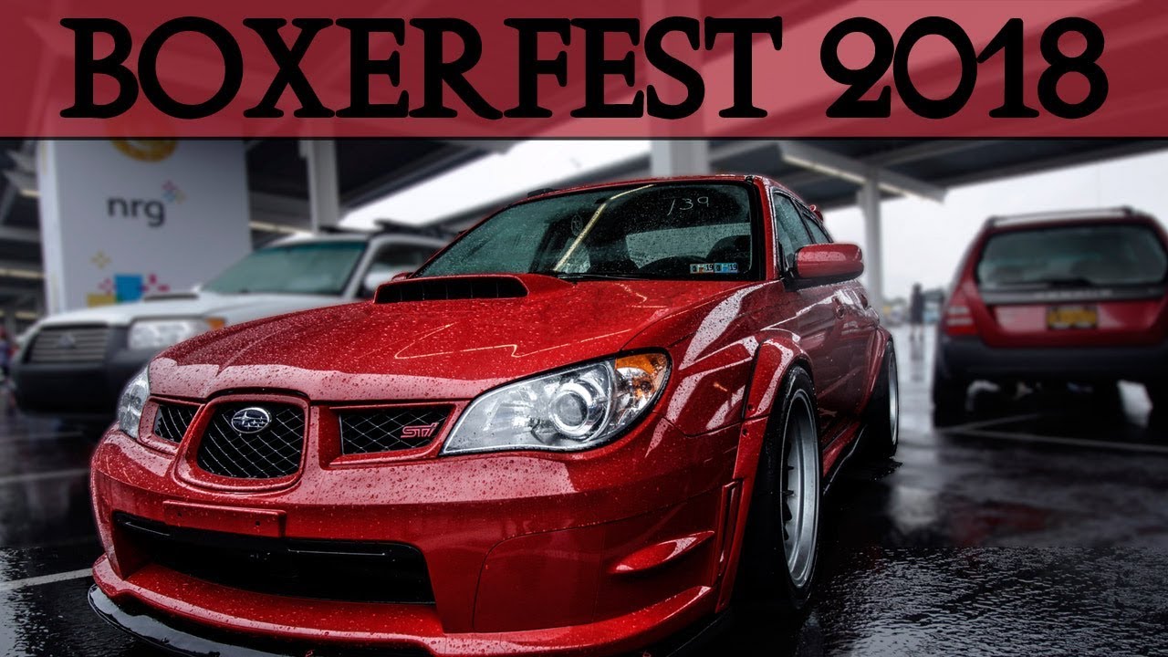 Boxerfest 2018 - YouTube