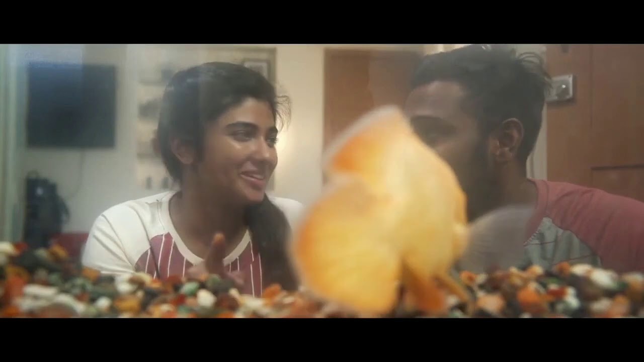 Lockdown Kadhal Web Series Song | Eruma sani | Vijay Viruz & Pragaya ...