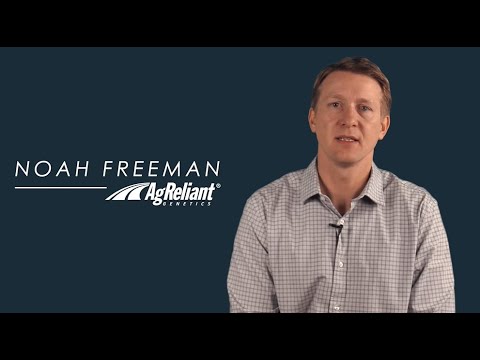AgReliant Genetics CASE STUDY - YouTube