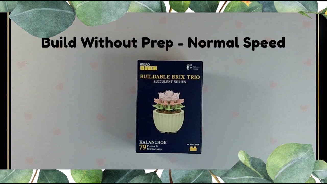 Build With Me! Micro Brix - Buildable Brix Trio - Succulent - Kalanchoe ...