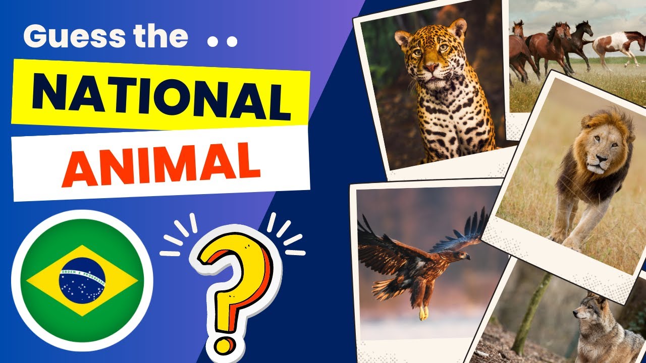 GUESS The National Animal of the Countries in the World | Geography ...