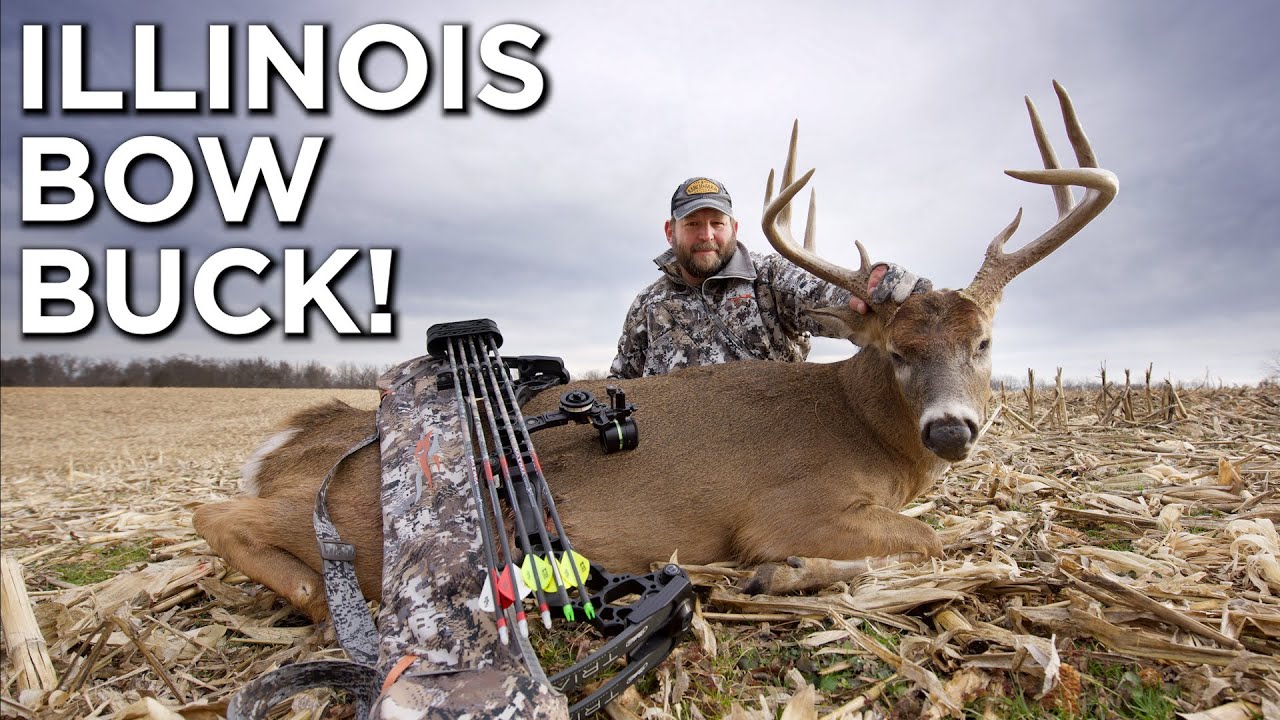 Big 9 Point Buck In Illinois! | November Bowhunting - YouTube