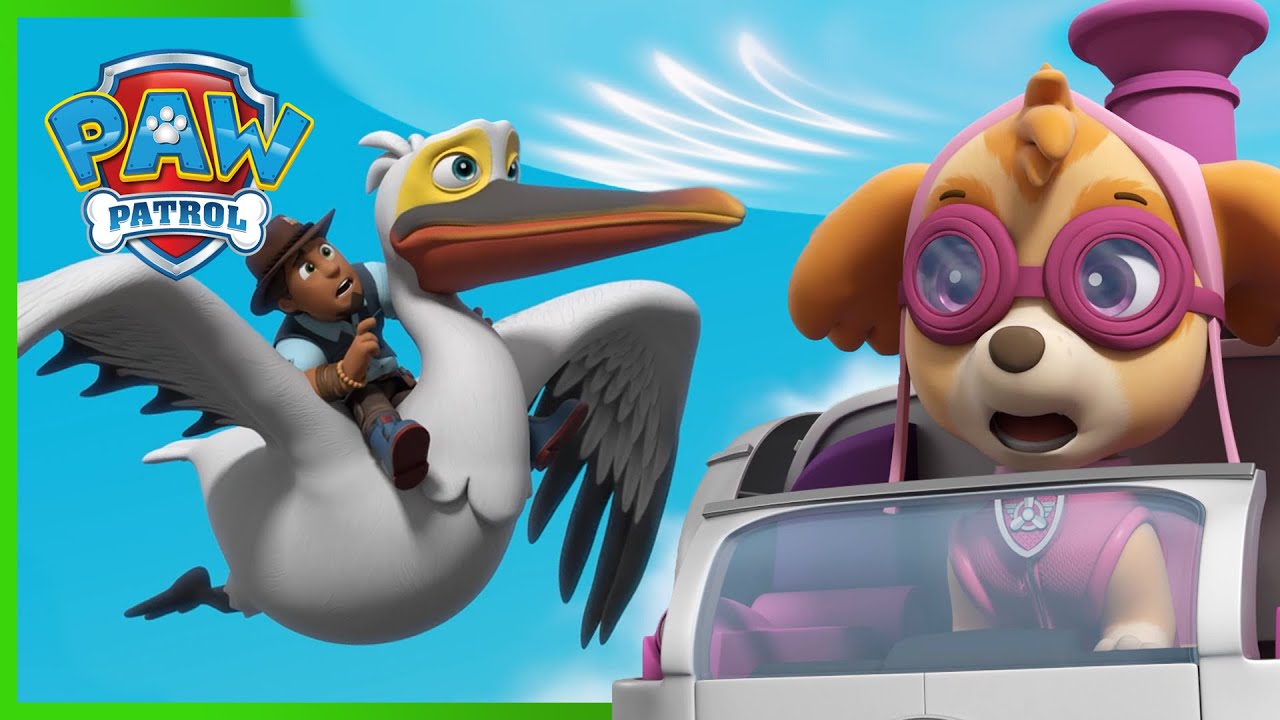 Best Skye Rescues and MORE | PAW Patrol | Cartoons for Kids - YouTube