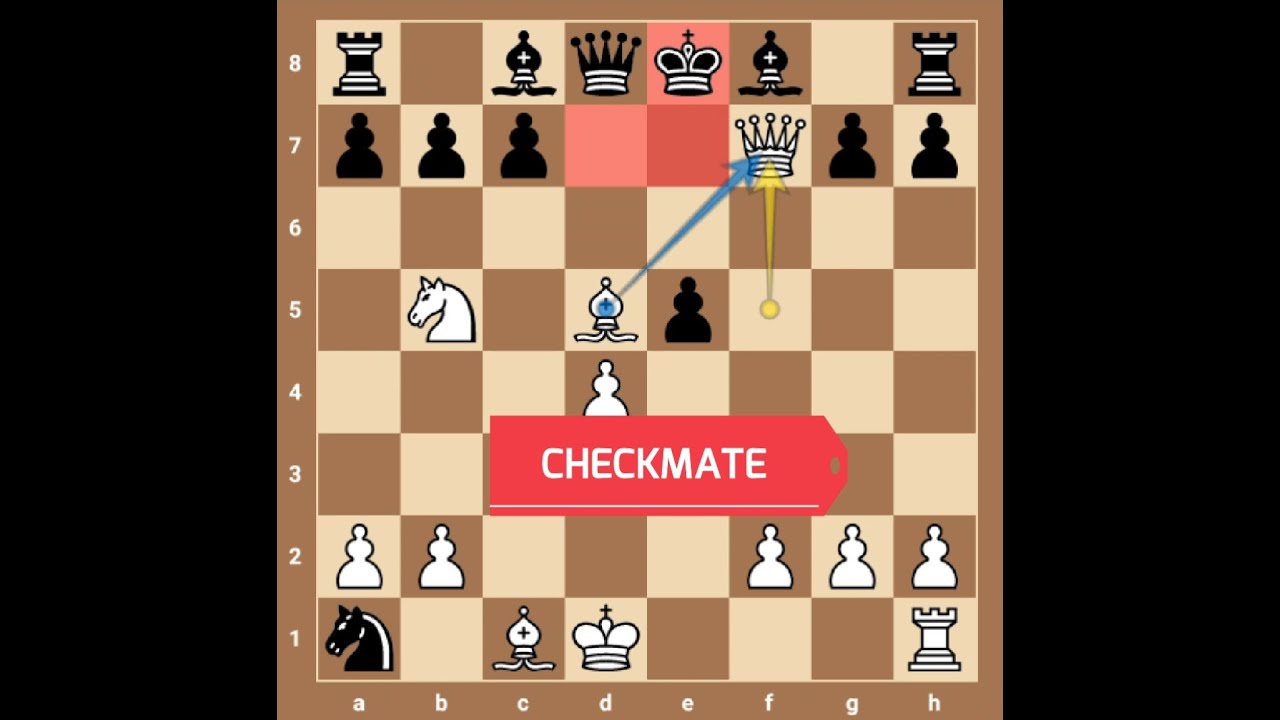 Chess Openings : Fried Liver Attack - Two Knights Defense - YouTube