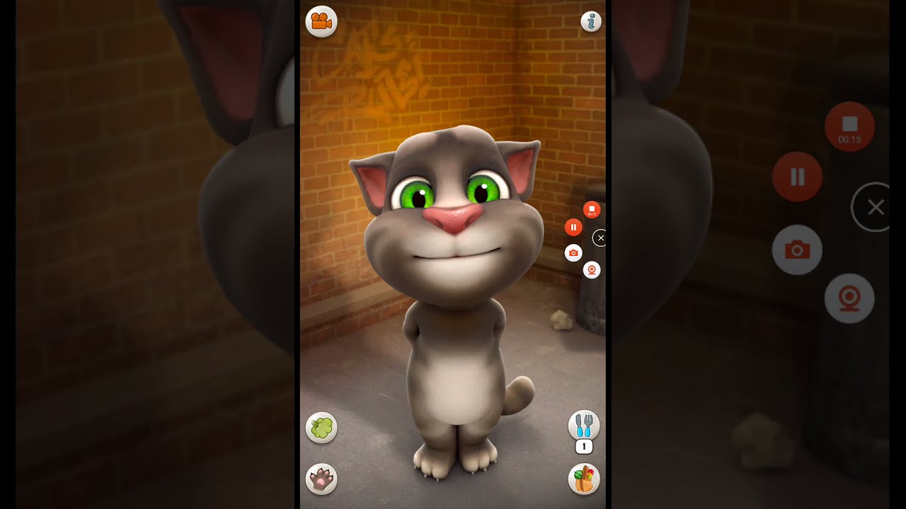 Talking tom cat video store