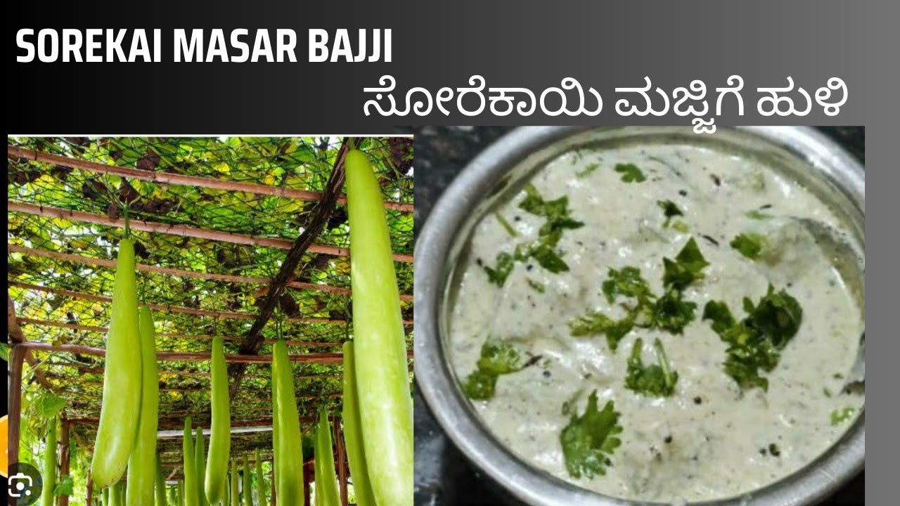 Sorekai majjige huli |sorekai masar bajji|sorekai recipe ಸೋರೆಕಾಯಿ ...