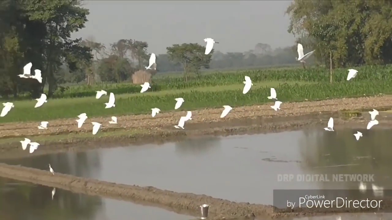 A sadra bine gama gati gama ho munda full song - YouTube