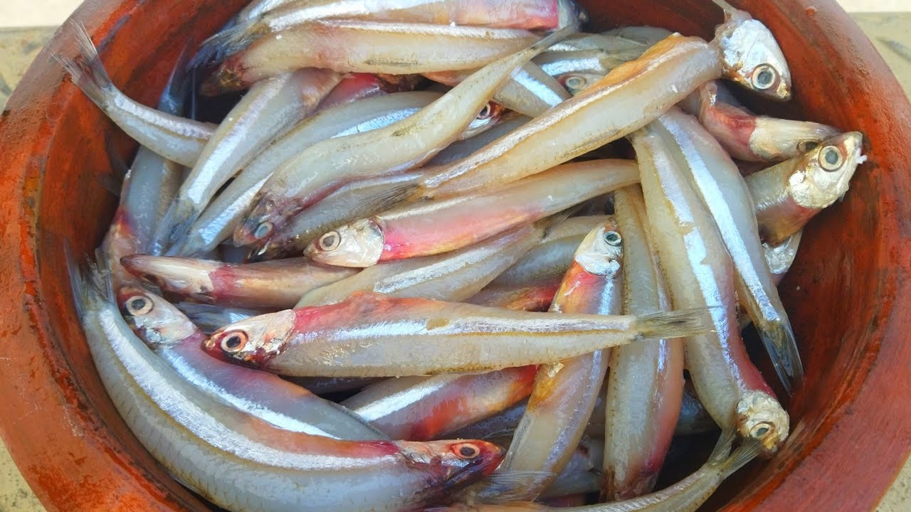 മീൻ കറി ഒരു പ്രാവശ്യം ഇതുപോലെ വെച്ചാൽ പിന്നെ ഇങ്ങനെയേ വെക്കു.. 👌 ...