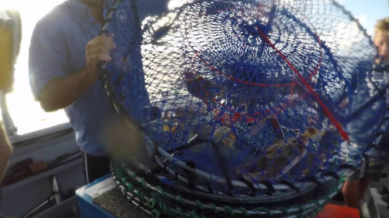 Testing The New Crab Pot Hauler LH 300 And C960 Crab Pot - YouTube