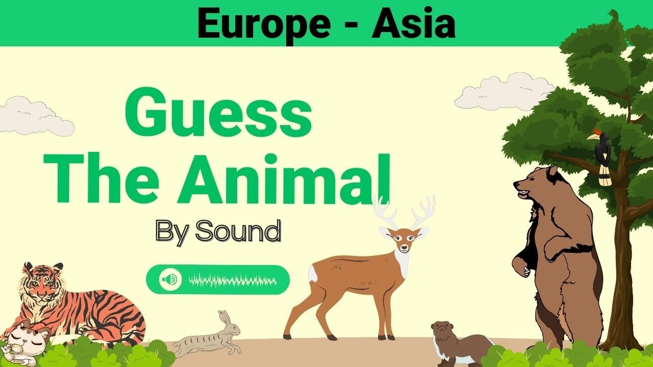 Animal sounds - Guess the animal by the sound ( Europe - Asia ) - YouTube