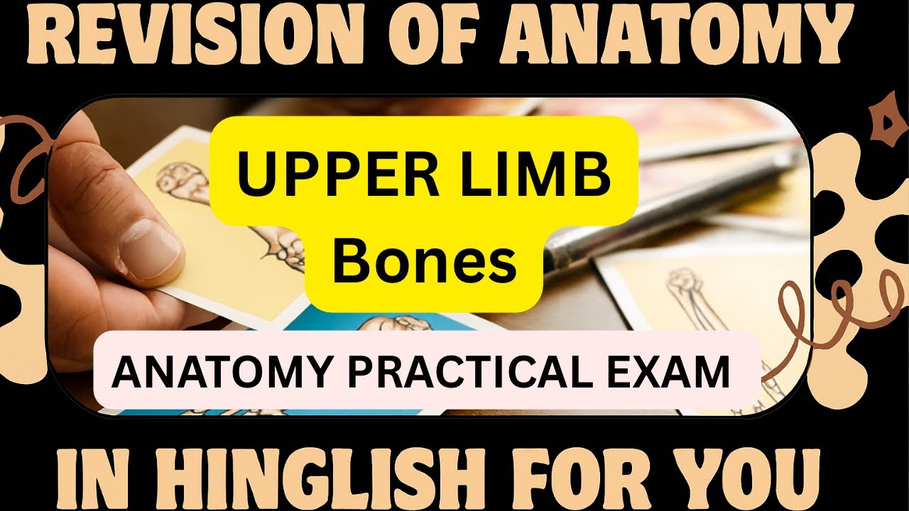 Revision of Upper Limb Bones: Anatomy exam viva - YouTube