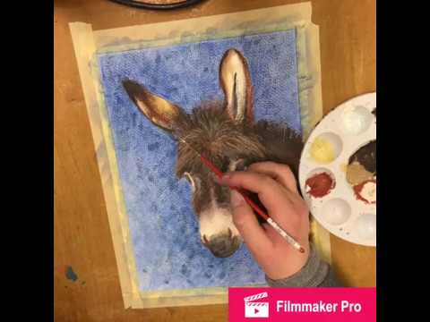 Dry Brushing in Acrylic - Donkey - YouTube