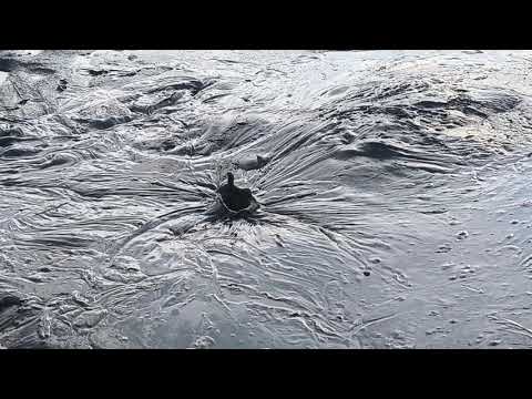 A jump! Into heaven!