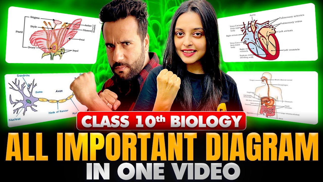 Class 10th Biology All important Diagrams in 1 video by Sonam Maam ...
