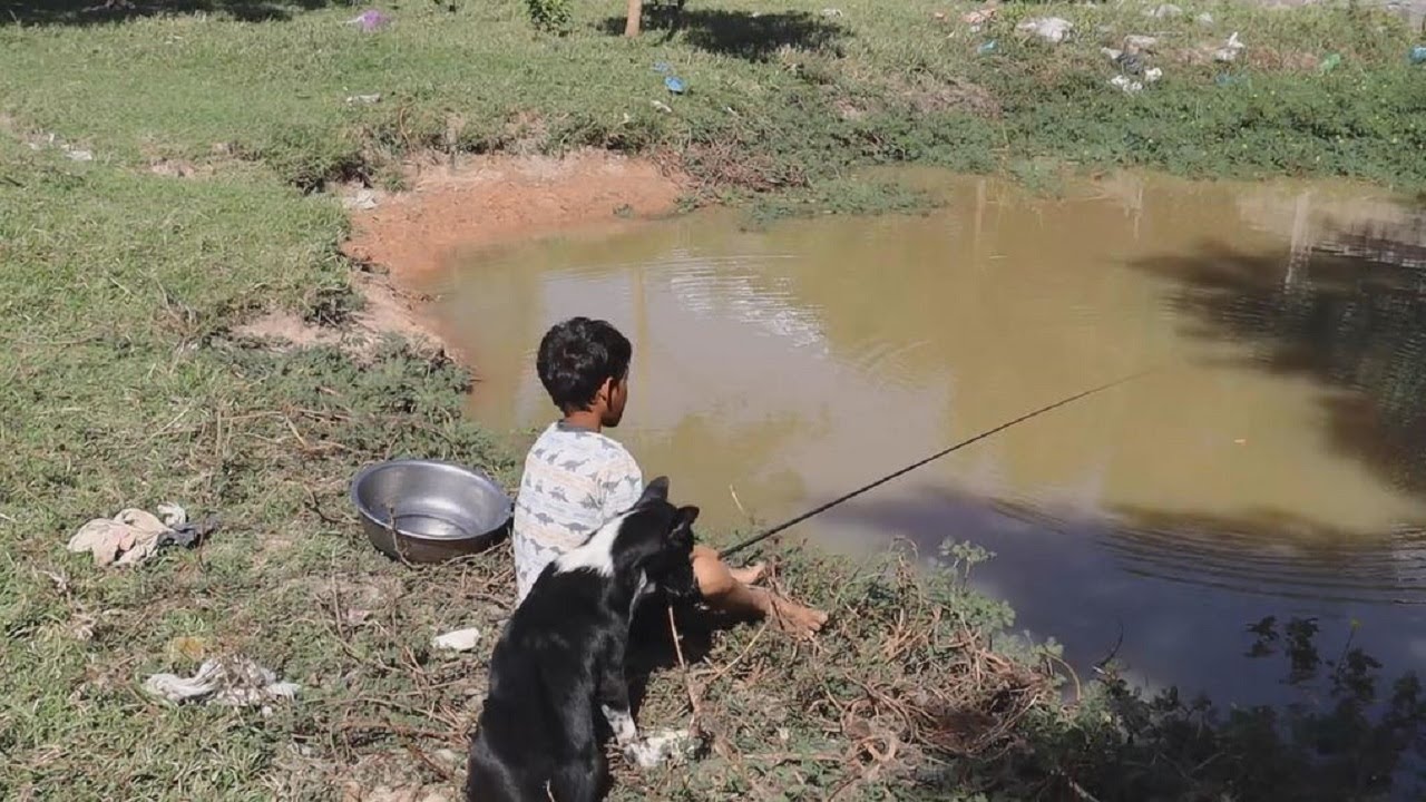 Fishing for climbing perch by young boy in my village - YouTube