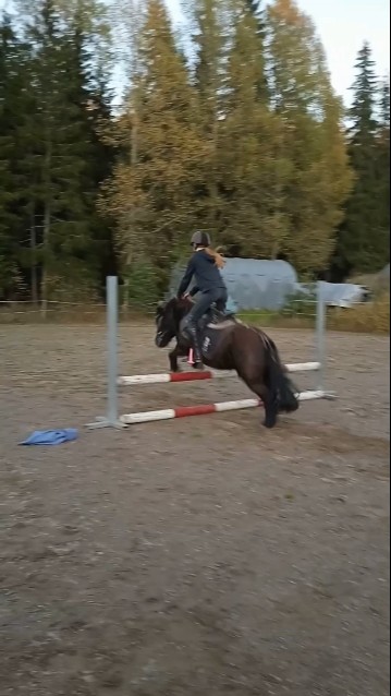 poninen 💕 - YouTube