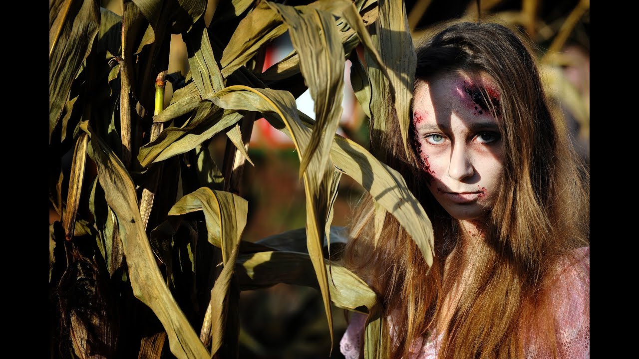 Walibi Belgium Nocturne Show 2015 - YouTube