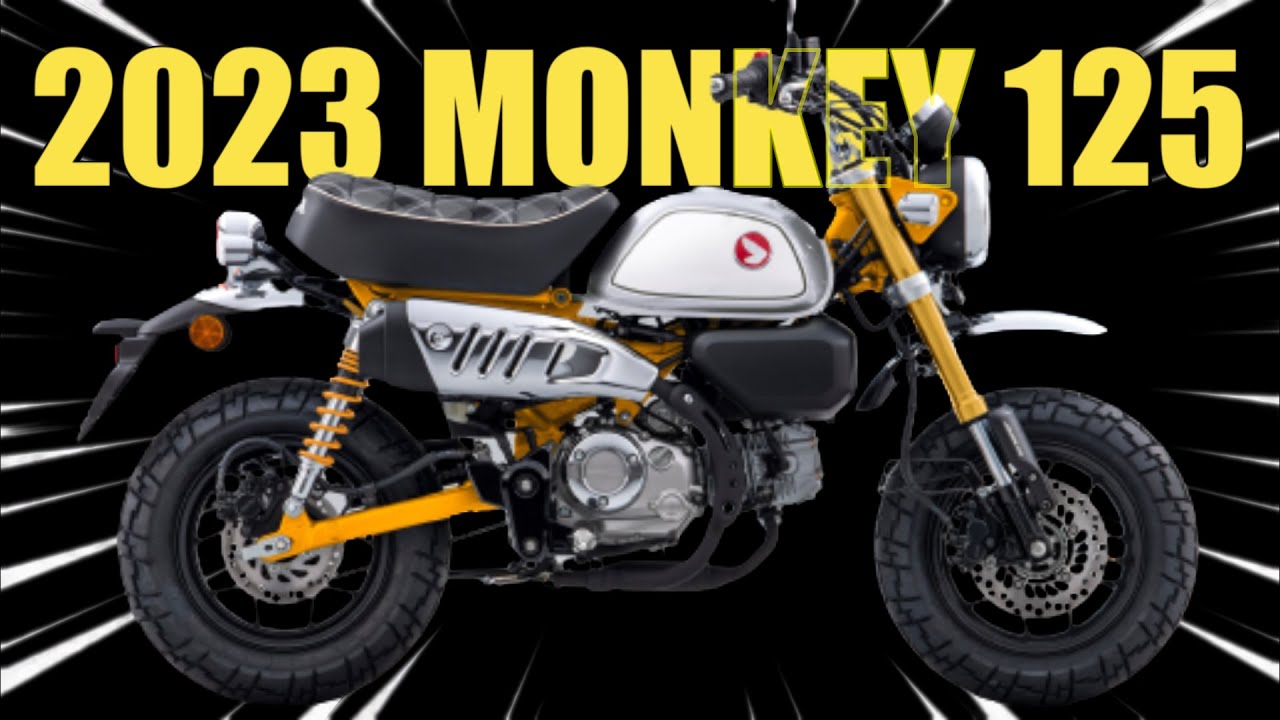 FRESH COLOR‼️2023 HONDA MONKEY 125 WITH TWO TONE PAINTING - YouTube