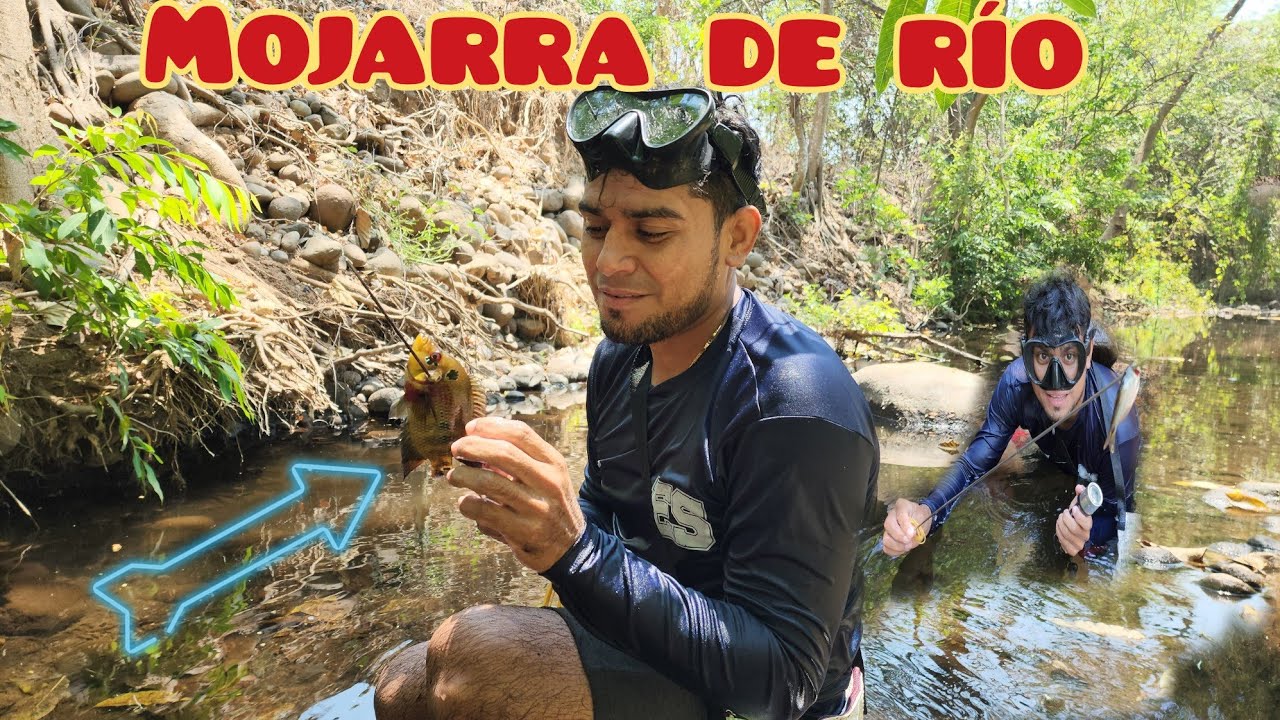 Pescando mojarra de río. - YouTube