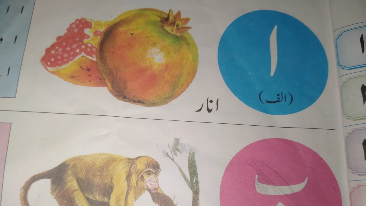 Alif Se Anar,Bay Se Bandar | Urdu Alphabets|Alif Bay Pay | Urdu ...