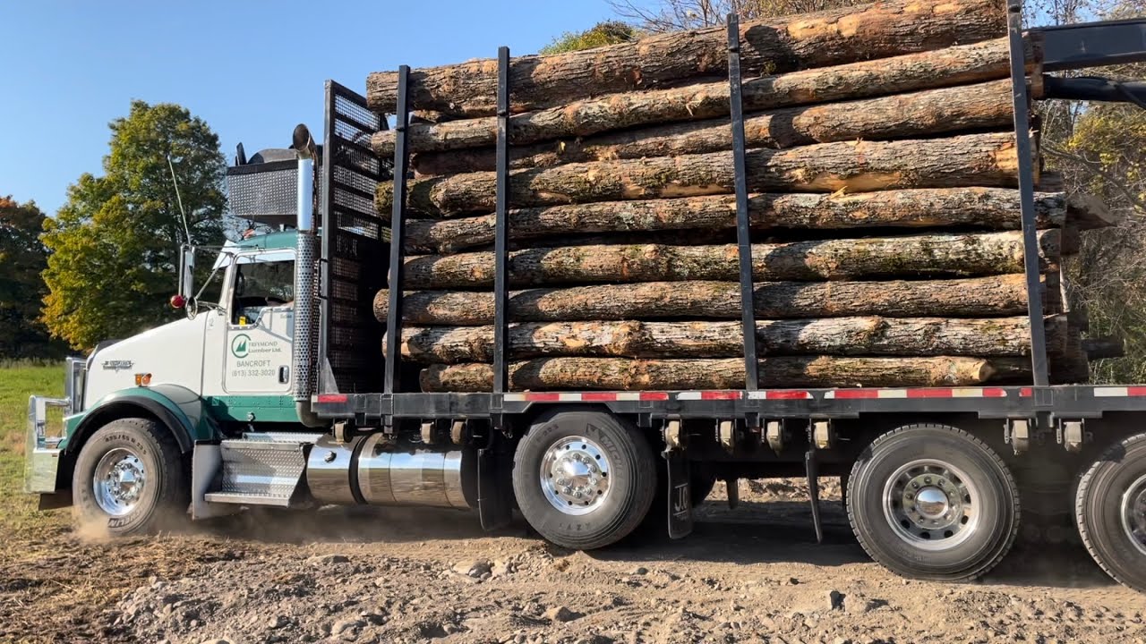 Couple nice log loads delivered - YouTube