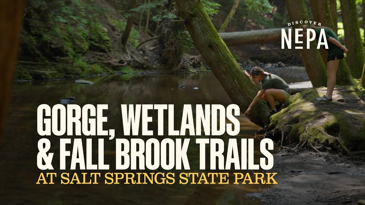 Gorge, Wetlands, & Fall Brook Trails at Salt Springs State Park ...