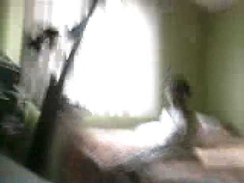 mi hermano desnudo