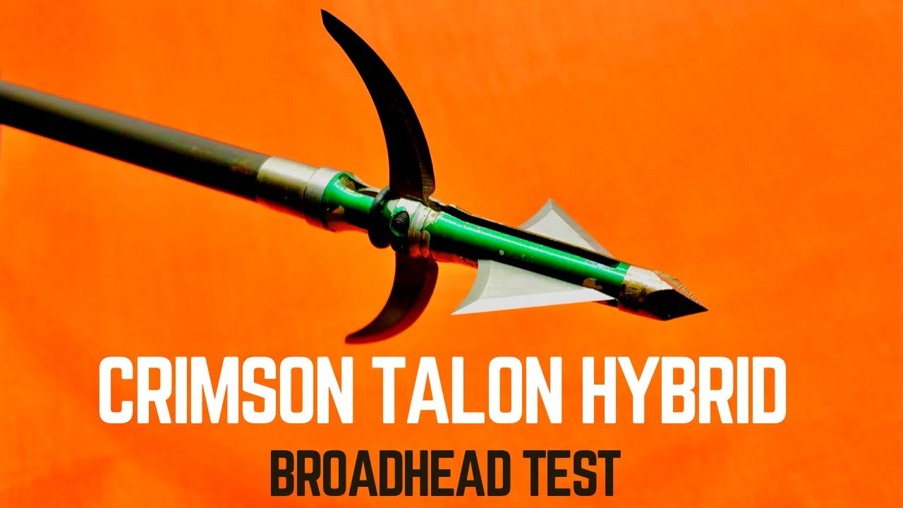 CRIMSON TALON HYBRID 125 gr Broadhead Test - YouTube