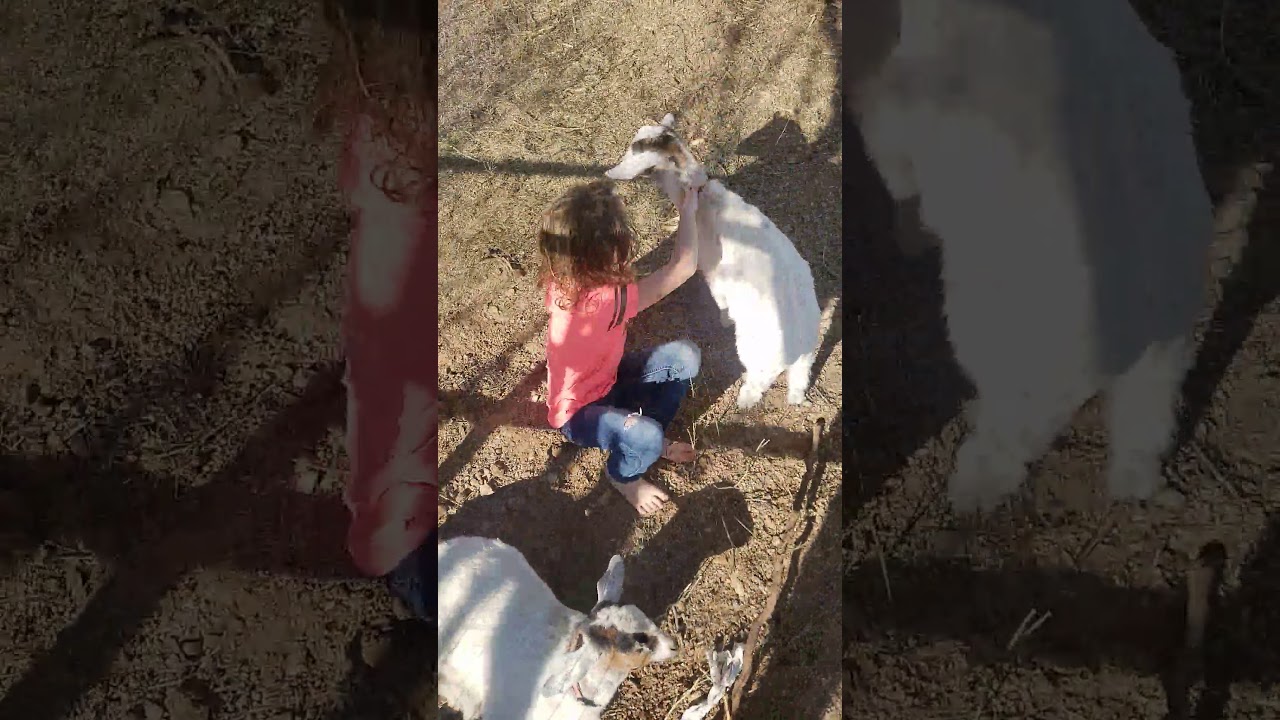 Farm Girls Youtube