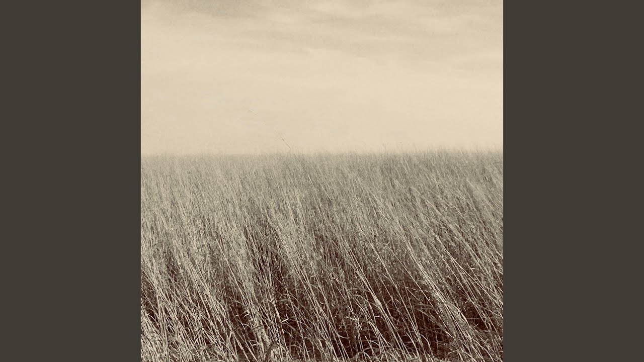 Bone Marrow Trees - YouTube