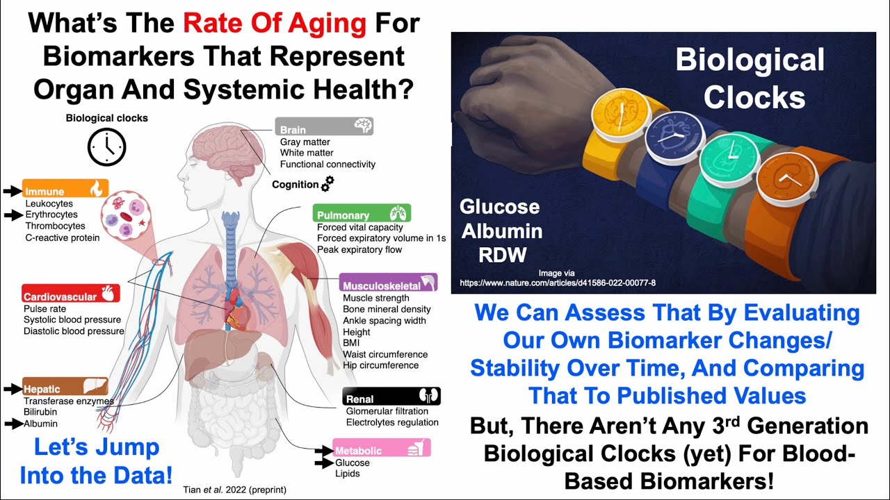 Longitudinal Biomarker Optimization: A Road To Maximize Health And ...