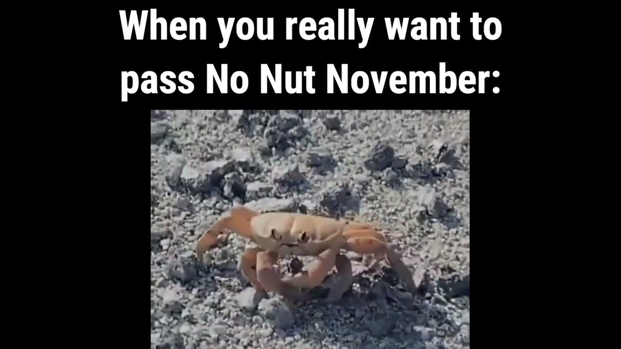 When you really want to pass No Nut November: - YouTube