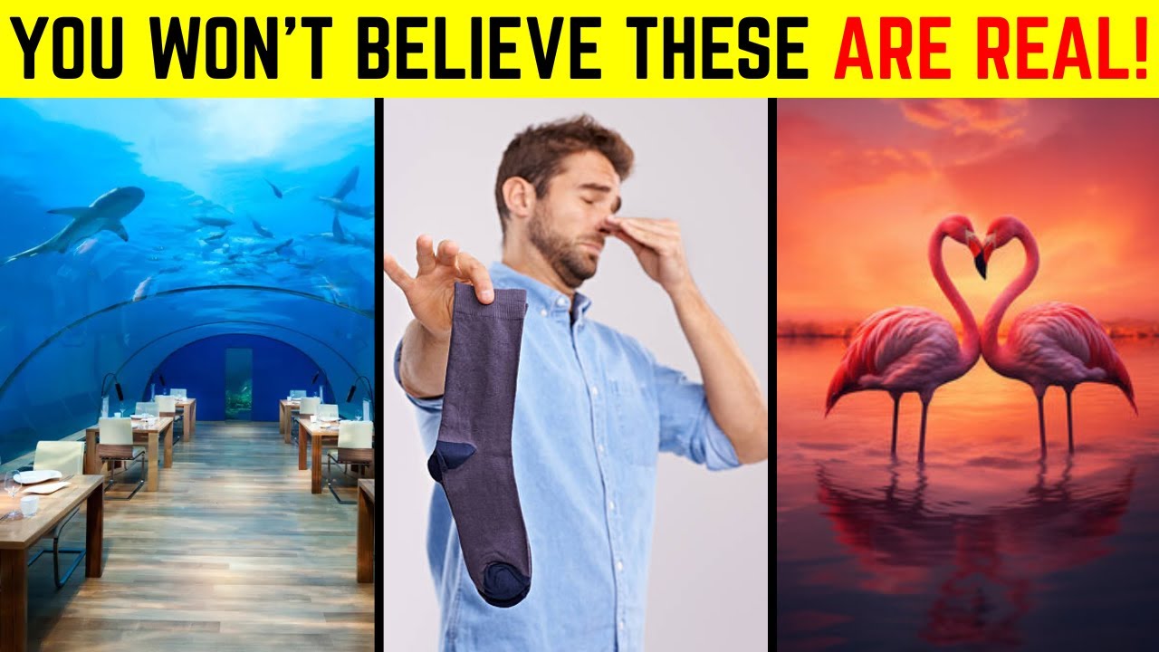 20 Strange But True Facts That Will Stun You! - YouTube