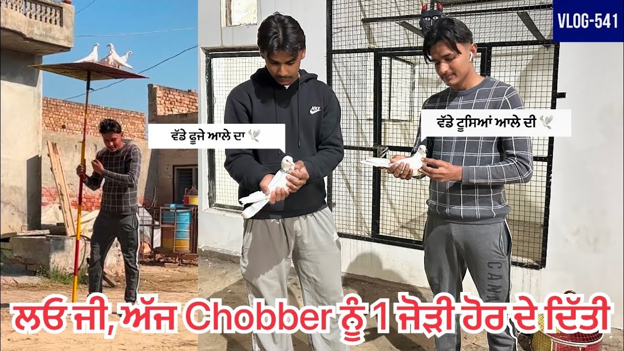 ਲਓ ਜੀ, ਅੱਜ ਰਾਤ ਦੀ ਪਤੰਗਬਾਜੀ ਕੀਤੀ🪁😅|| chobber ਨੂੰ 1 ਜੋੜੀ ਹੋਰ ਦਿੱਤੀ|| ਛੋਟੇ ...