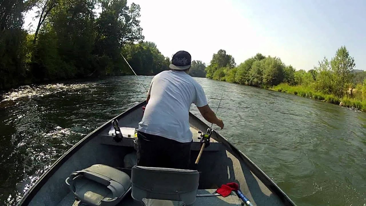 Summer Steelhead Fishing on the Rogue River | Southern Oregon Fishing ...