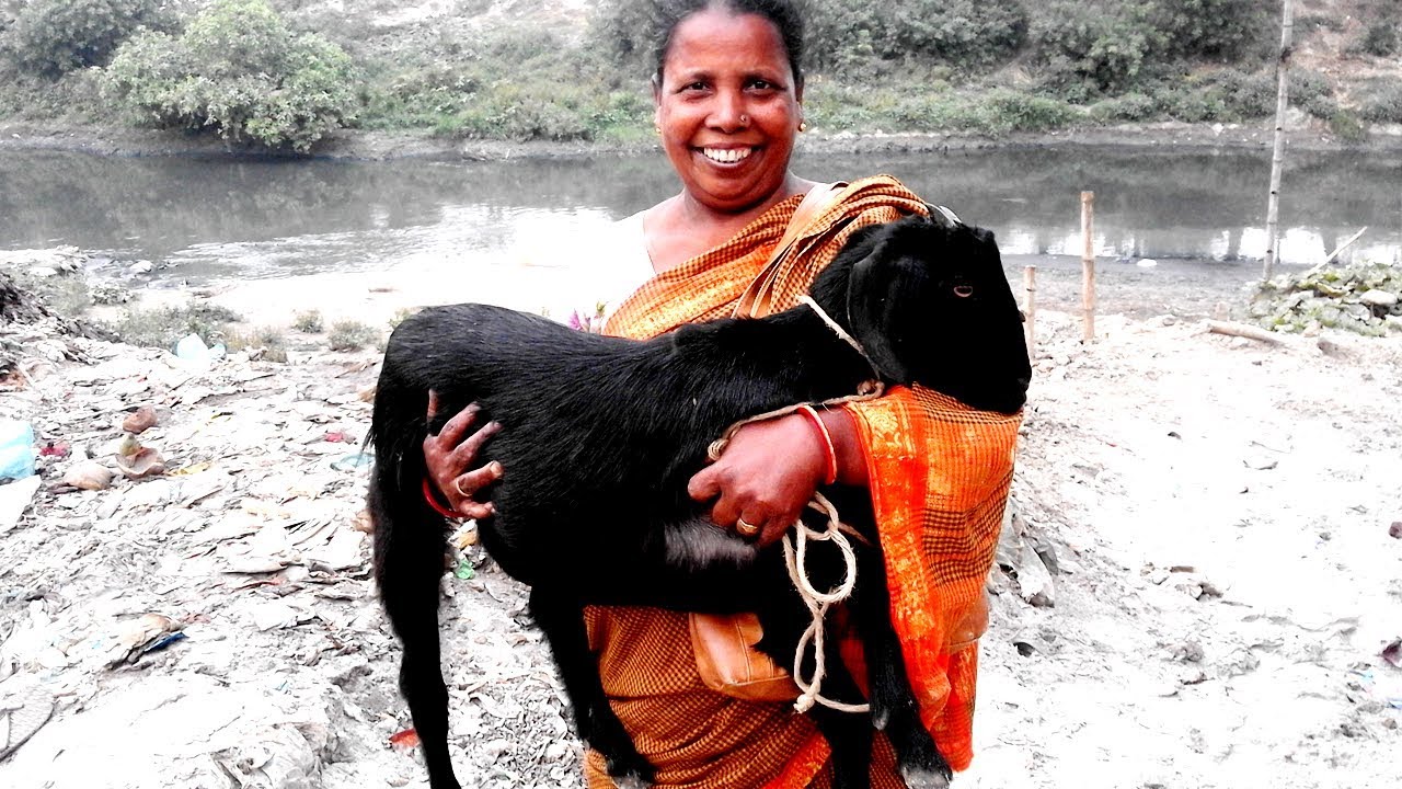 Whole Goat Biryani For Orphan Children - Full Goat Cooking Recipe for ...