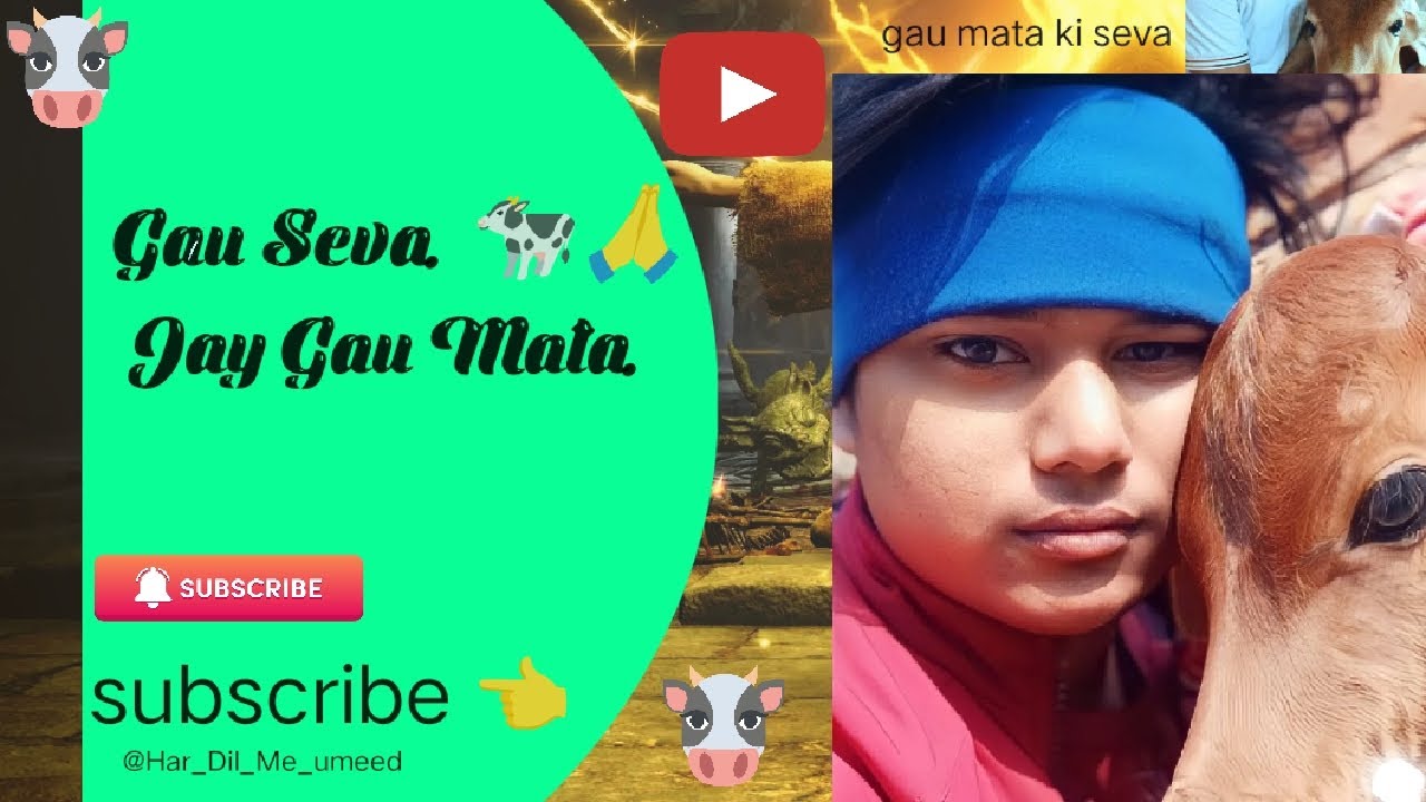 gau seva 🐄🐄🐄🐄 . #gauseva #gau.mata #gau_mata_ki_jay @Har_Dil_Me_Umeed ...