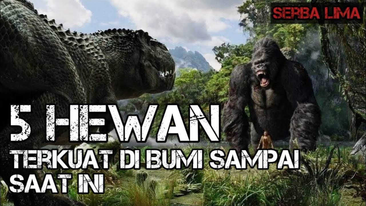 Bertubuh tinggi bersar belum tentu menjadi yang TERKUAT || Fakta dari 5 ...