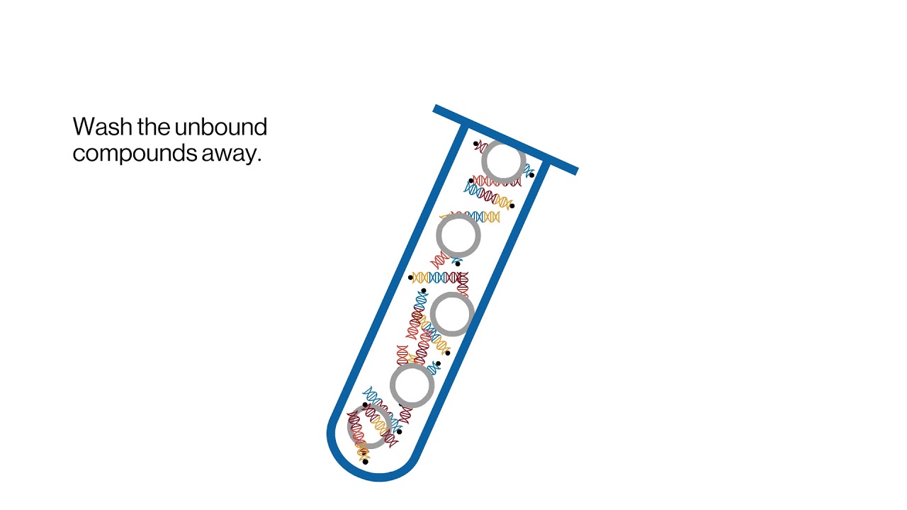 Drug discovery with DNA-encoded libraries - YouTube