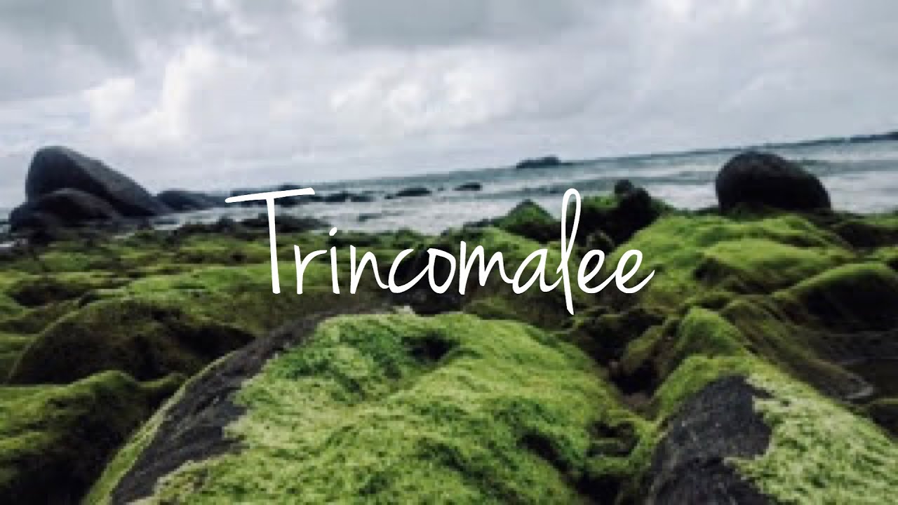 Trincomalee | Sri lanka | lost the way - YouTube