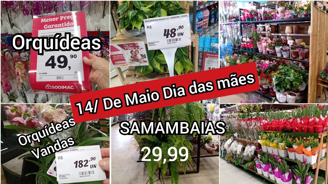 TOUR no SODIMAC DICICO FLORES Vídeo Completo/ SUPER PROMOÇÃO DIA DAS ...