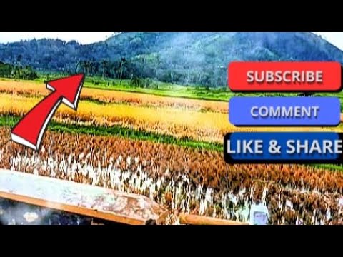 Simpang ghoba menuju tu rawan padang lua#trendingvideo# ...