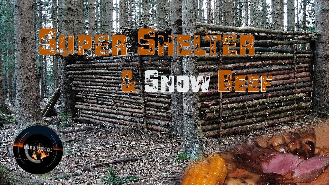 Snow Beef (best beef in the world!), Bushcraft Super Shelter - YouTube