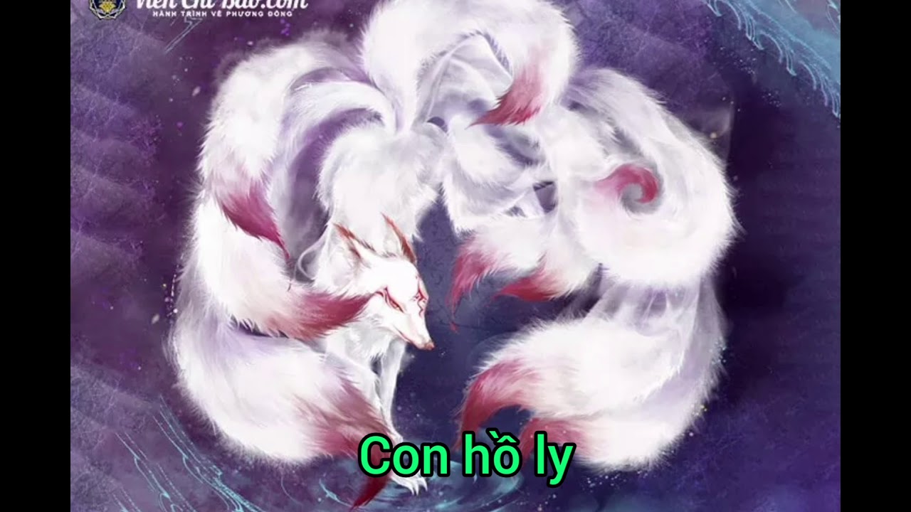 Con gì đây ? - YouTube