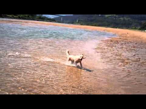 Pastor vasco iletsua (Uss) - YouTube