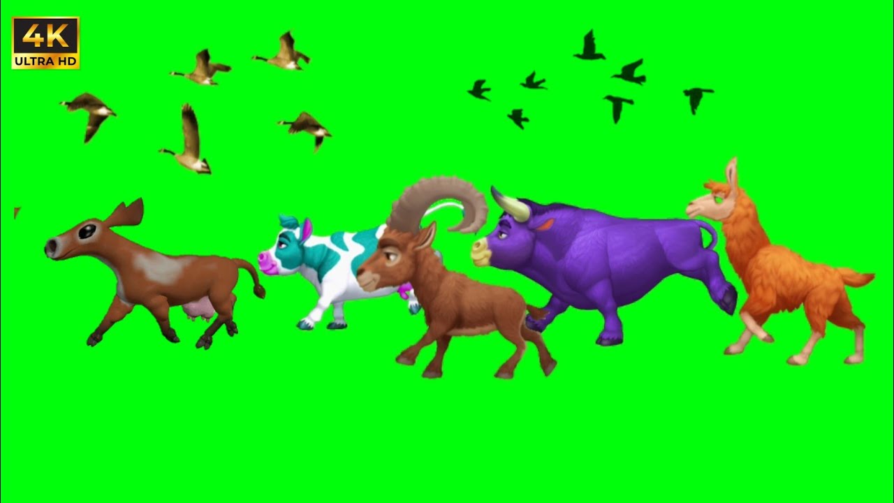 4k animals run video |green screen animation video #animal #greenscreen ...