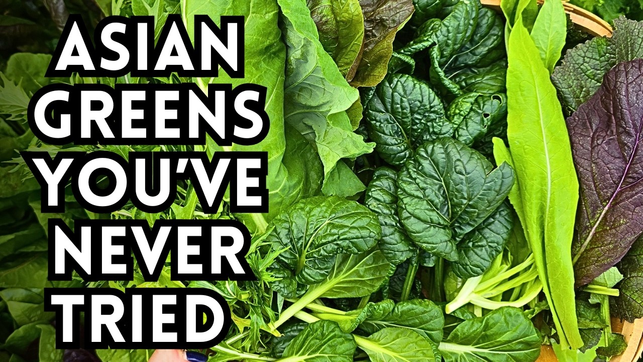 Asian Greens You’ve Never Heard Of But Should Totally Grow! Review Of ...