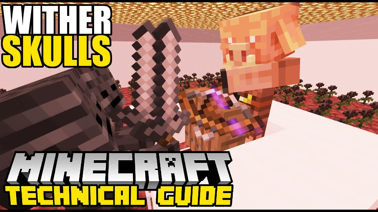 BONES, COAL, & WITHER SKULL FARM (Technical Guide S2E34) - YouTube