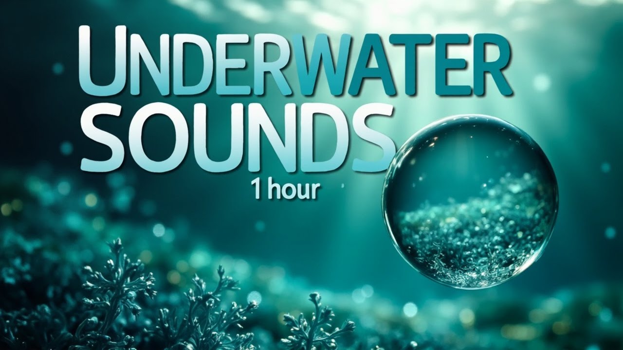 Underwater Sounds White Noise | 1 Hour | Sleep Sounds with Bubbles ...